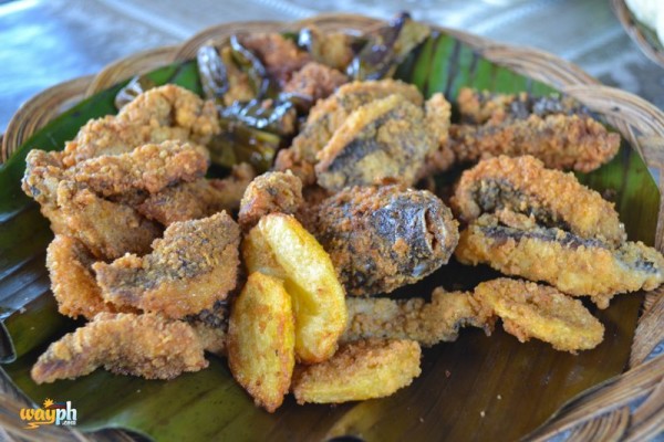 [UPDATED] Punta Isla Lake Resort, Lake Sebu, South Cotobato - WayPH.com