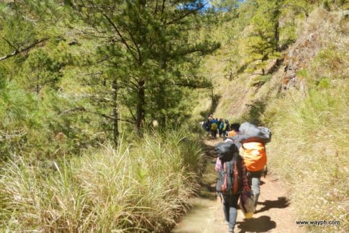 Mt. Pulag Travel Guide(Ambangeg Trail) - The Easiest Way to Reach Mt ...