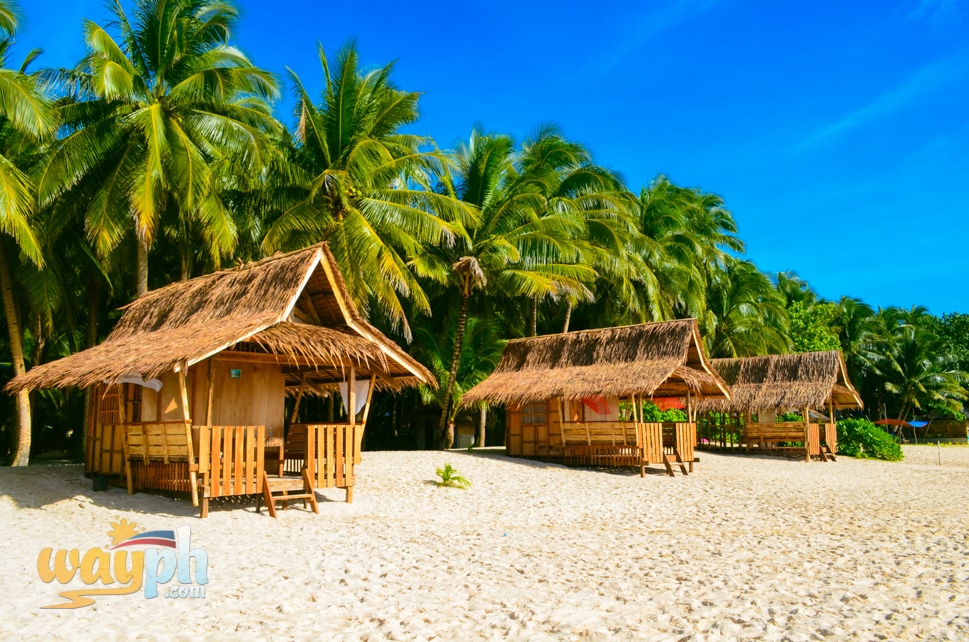 Dako Island: One of the Best Beaches in the Philippines - WayPH.com