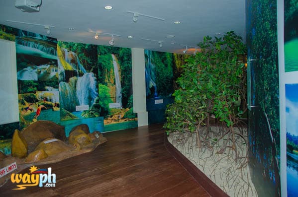 Mati City Tourist Spots and Travel Guide - WayPH.com