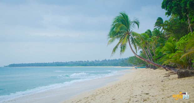 TRAVEL GUIDE: Saud Beach Resort in Pagudpud, Ilocos Norte - WayPH.com