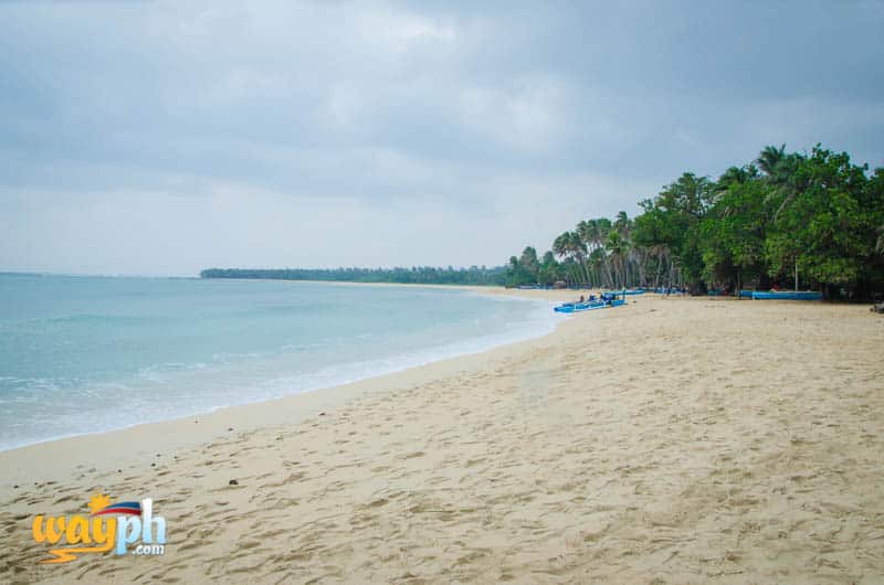 TRAVEL GUIDE: Saud Beach Resort in Pagudpud, Ilocos Norte - WayPH.com