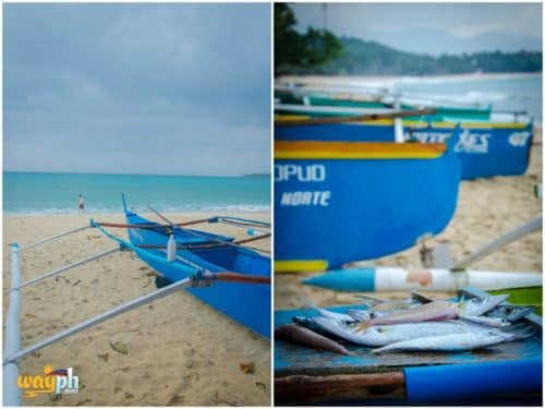 TRAVEL GUIDE: Saud Beach Resort in Pagudpud, Ilocos Norte - WayPH.com