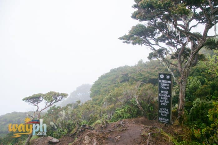 Exploring Mt. Kitanglad - Mt. Dulang-Dulang Traverse - WayPH.com