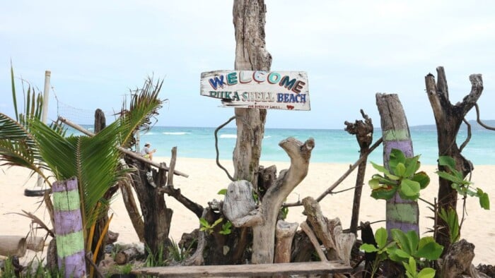 Why No Algae/Lumot at Puka Beach? Understanding Lumot in Boracay- WayPH.com